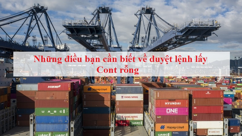 3 cách duyệt lệnh lấy Cont rỗng (Empty Release Order) phổ biến